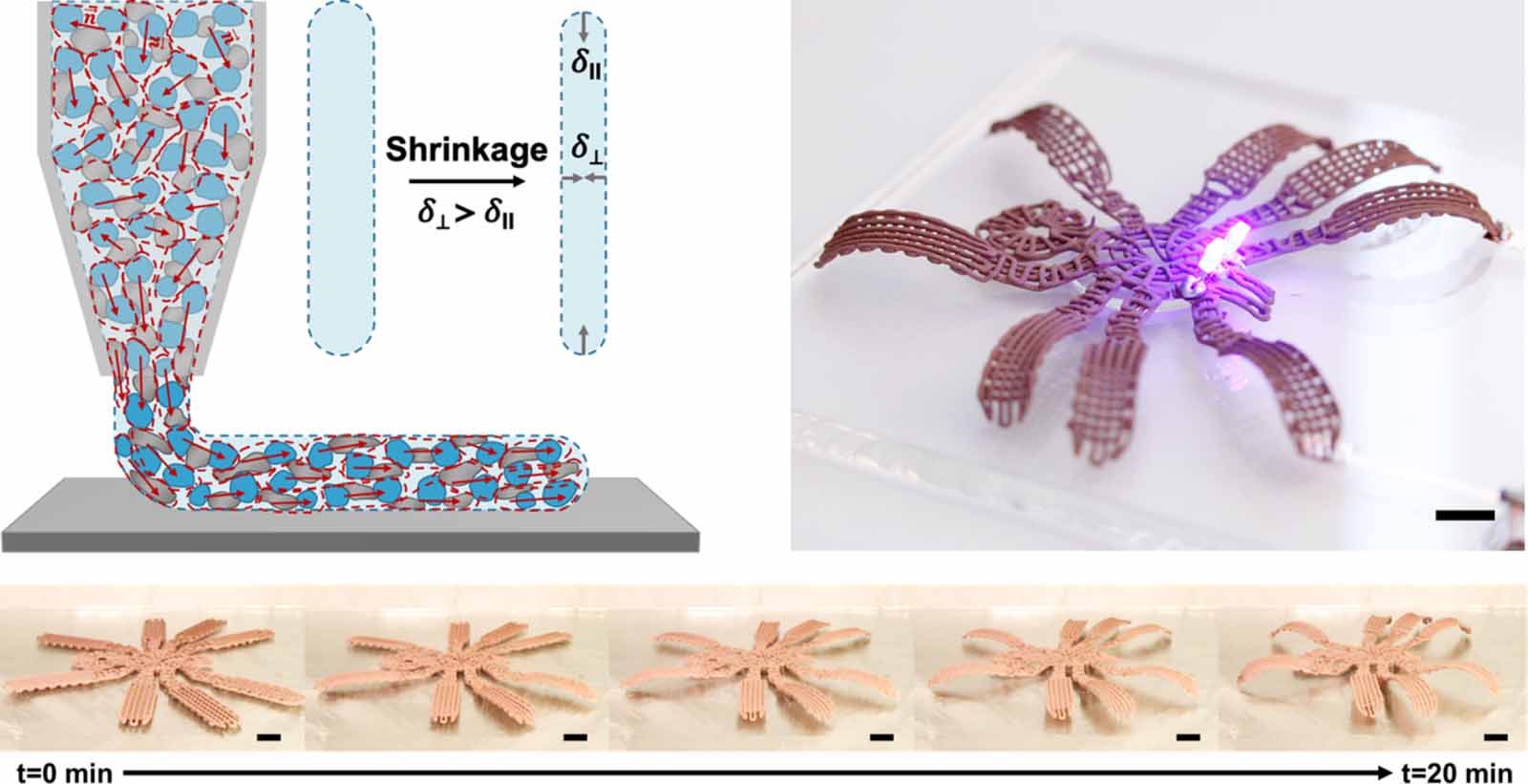 4D printing roadmap - IOPscience