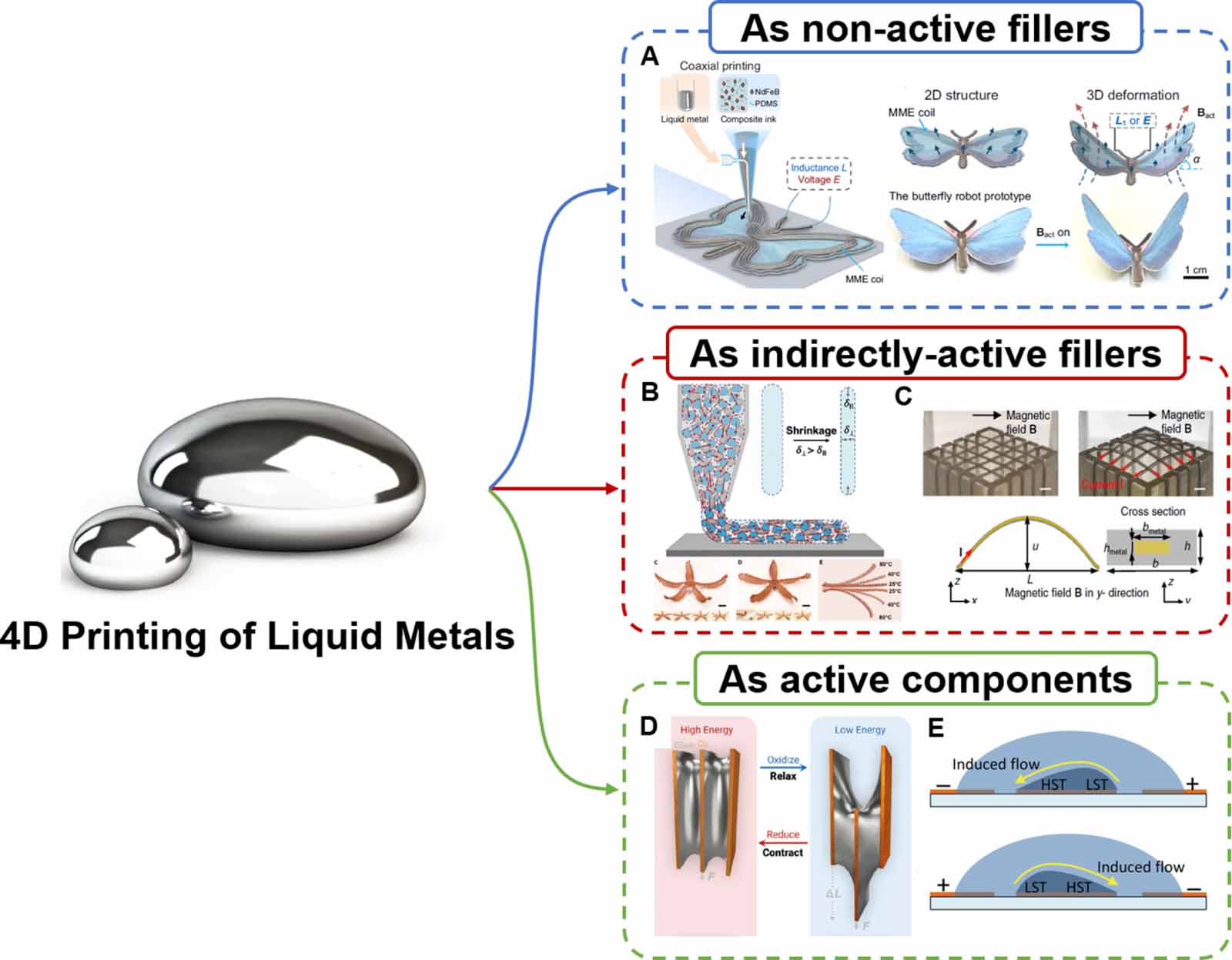 4D printing roadmap - IOPscience