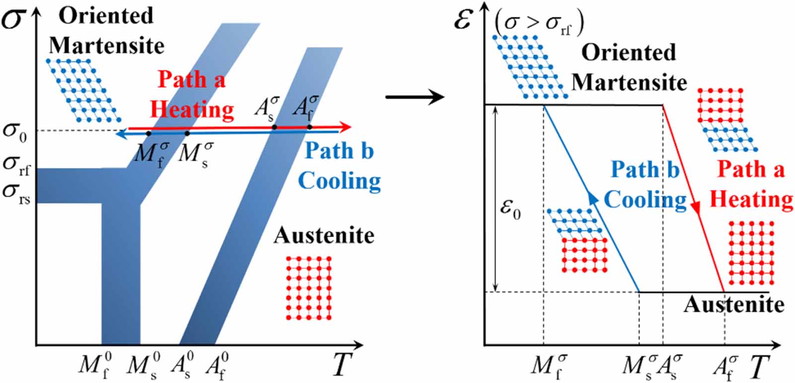 Deformation control method for active shape morphing lattice structure ...