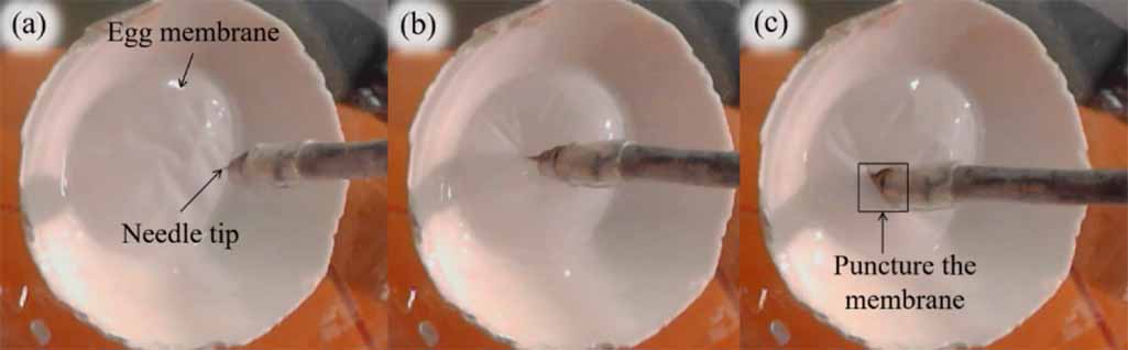 A novel flexible catheter with integrated magnetic variable stiffness ...