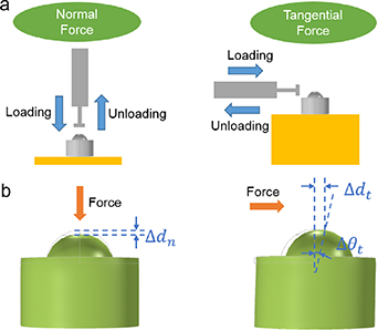 River valley-inspired, high-sensitivity, and rapid-response capacitive ...