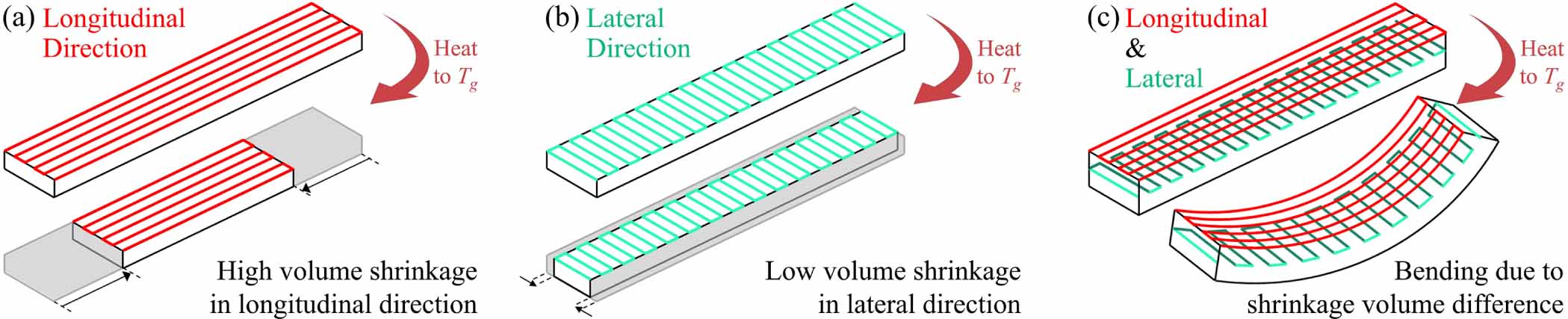 Multi-material 4D printing to realize two-phase morphing in self ...