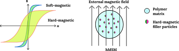 Hard magnetics and soft materials—a synergy - IOPscience