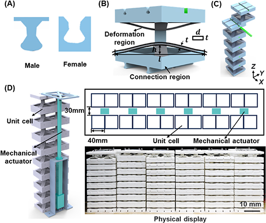 Customized deformation behavior of morphing wing through reversibly ...