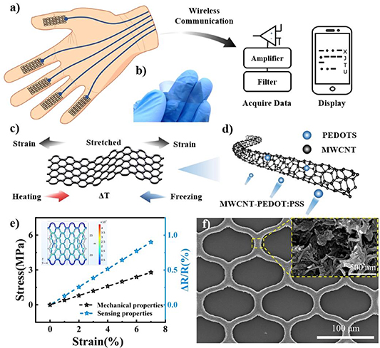 Dual-parameter stretchable, transferable mesh piezoresistive sensor for ...