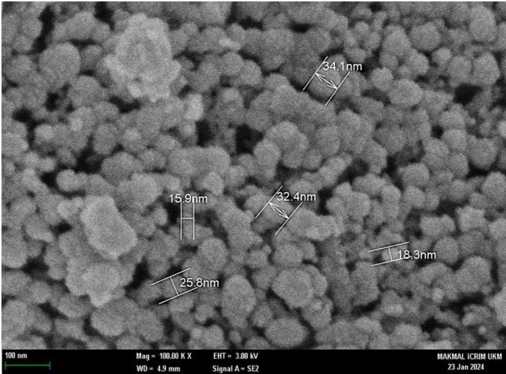Thermo-rheological improvement of magnetorheological foam with the ...
