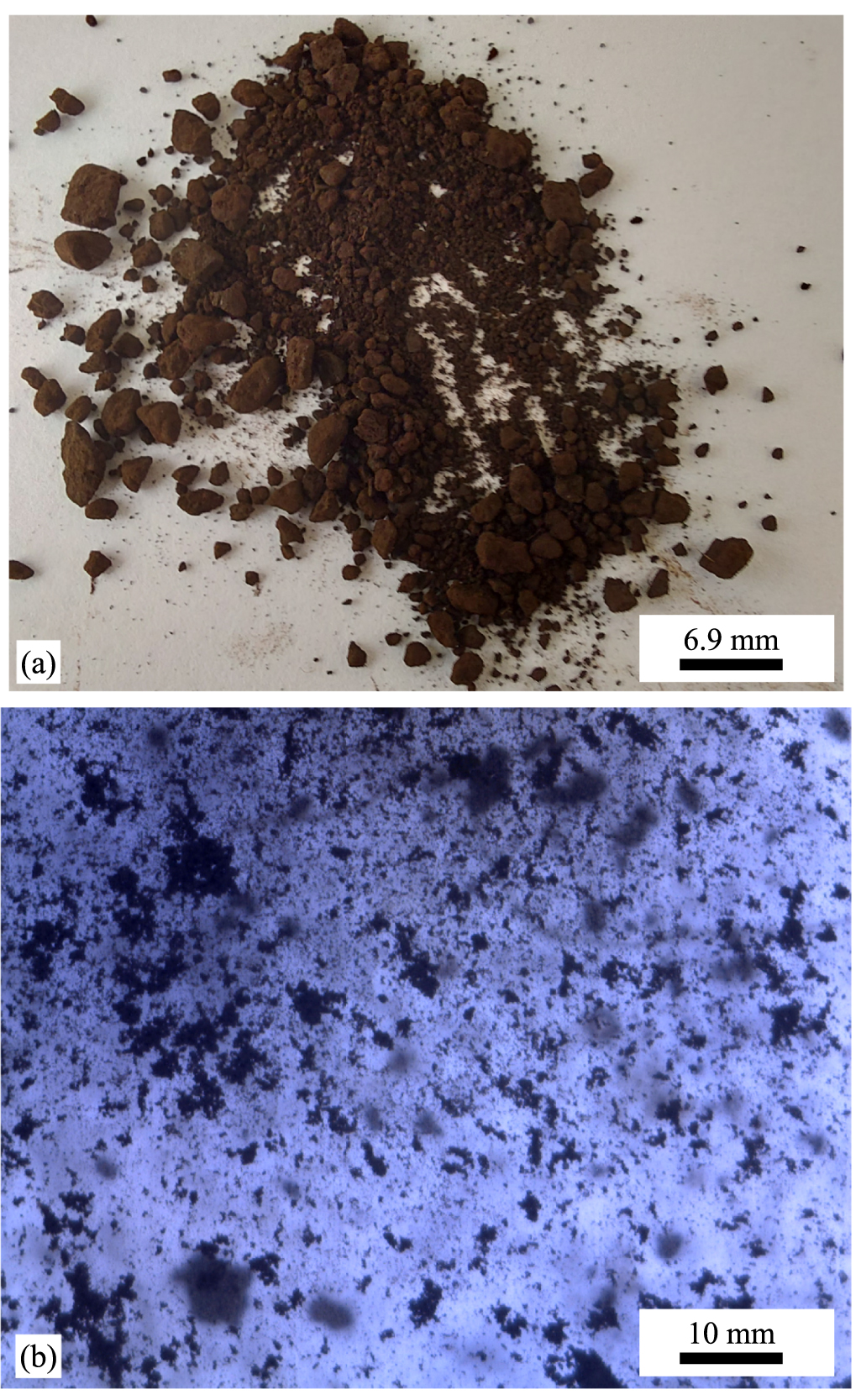 Electrorheological and magnetorheological properties of liquid ...