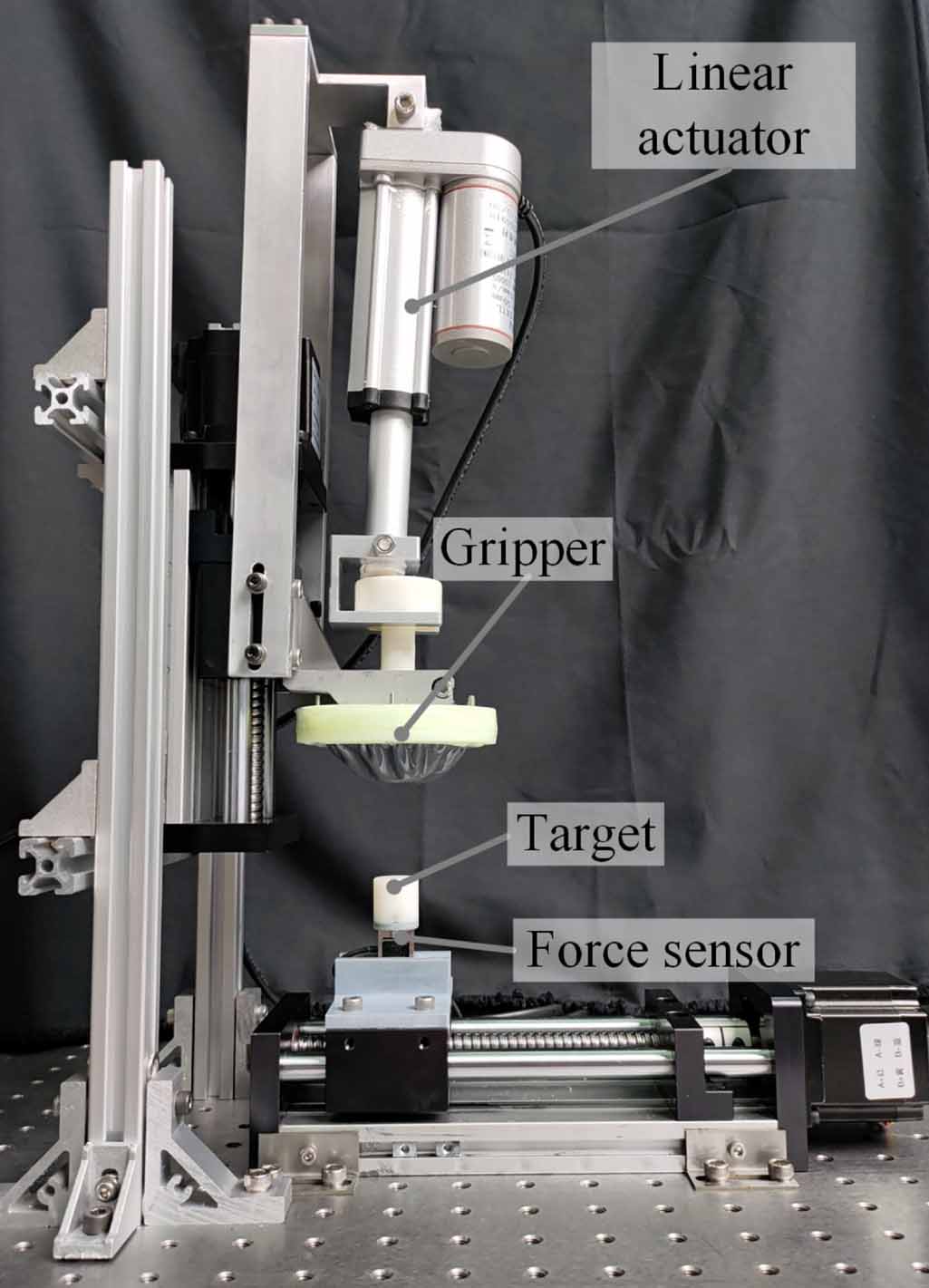 Bioinspired flexible gripper for vacuum non-cooperative target capture ...