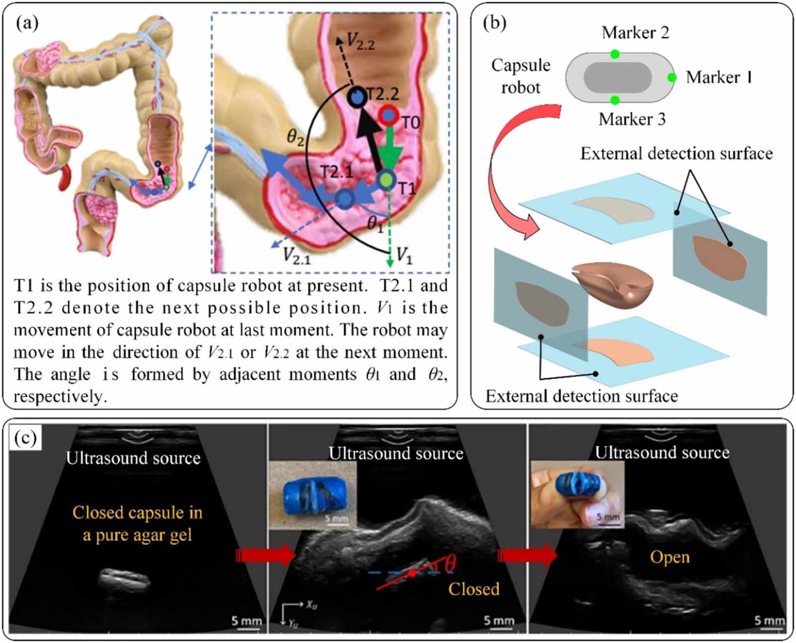 Functional capsule robots: a review of locomotion, pose, medical ...