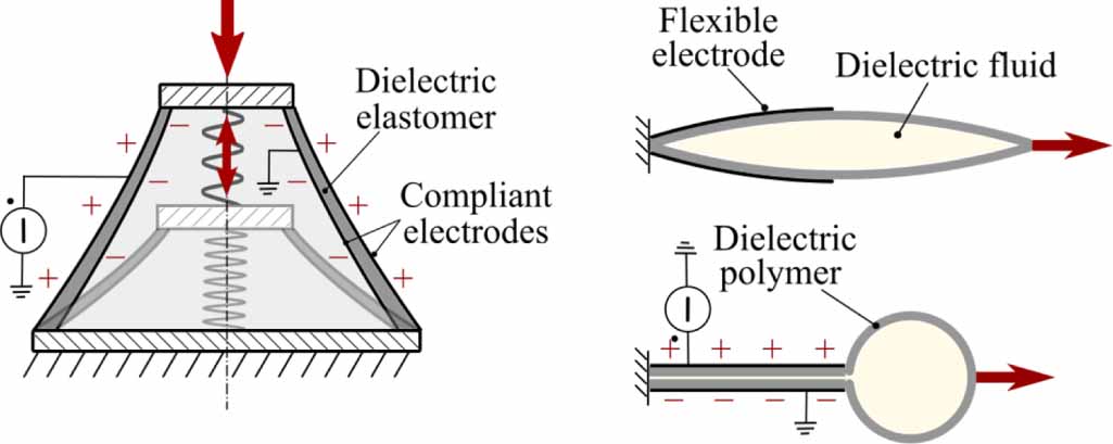 An investigation of the electrical dynamics in electroactive polymer ...