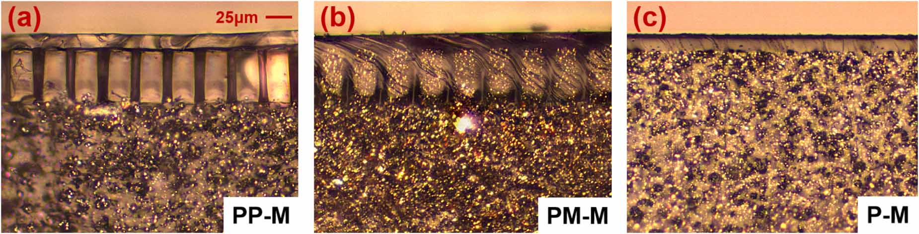 Ladybug-inspired hierarchical composite adhesives for enhanced surface ...