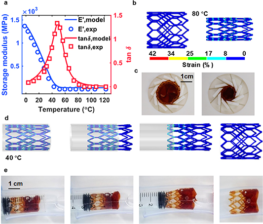 Prototyping sutureless shape memory valve stent via integrated 3D ...