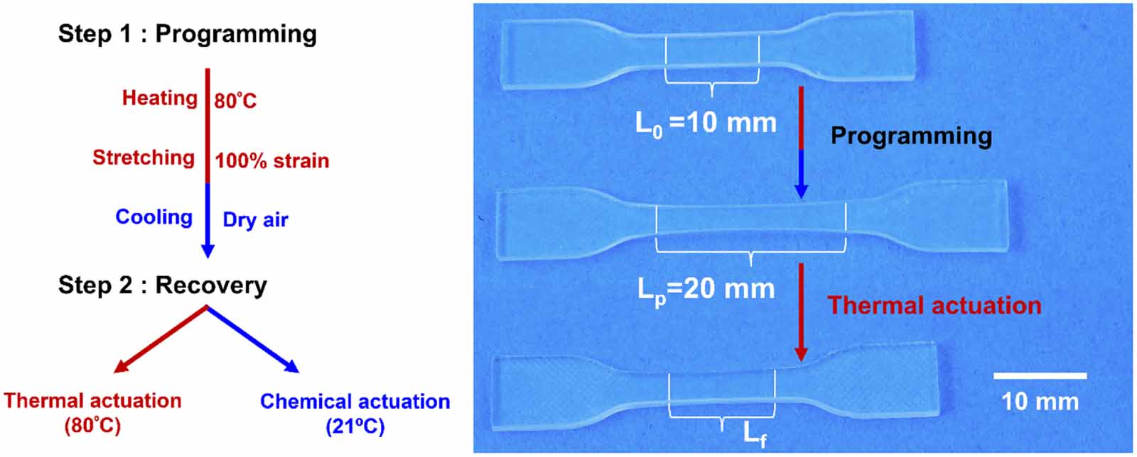 A wide angle x-ray diffraction (WAXD) study of thermal and chemical ...