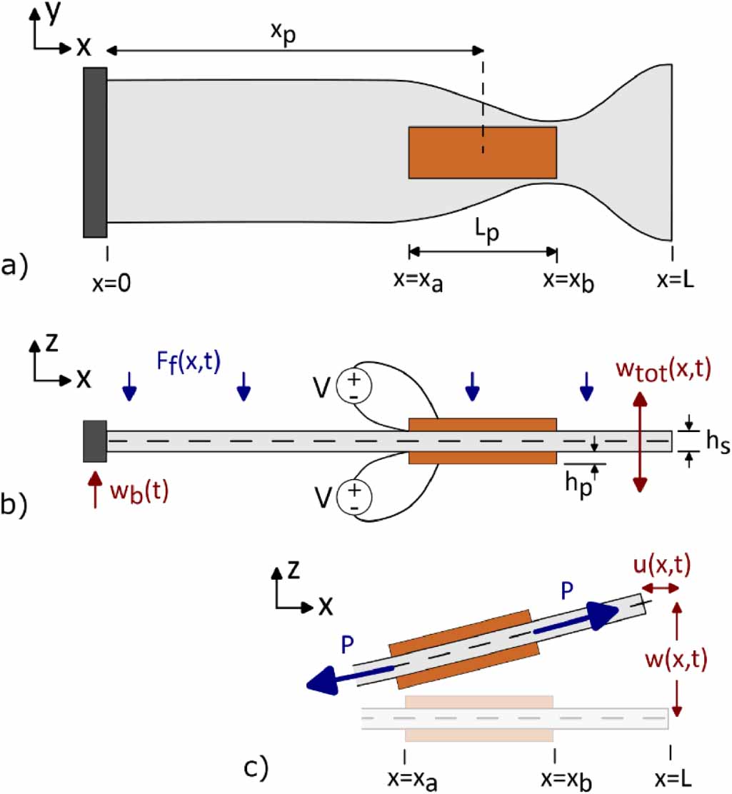 The role of local active stiffness on the natural frequency of a ...