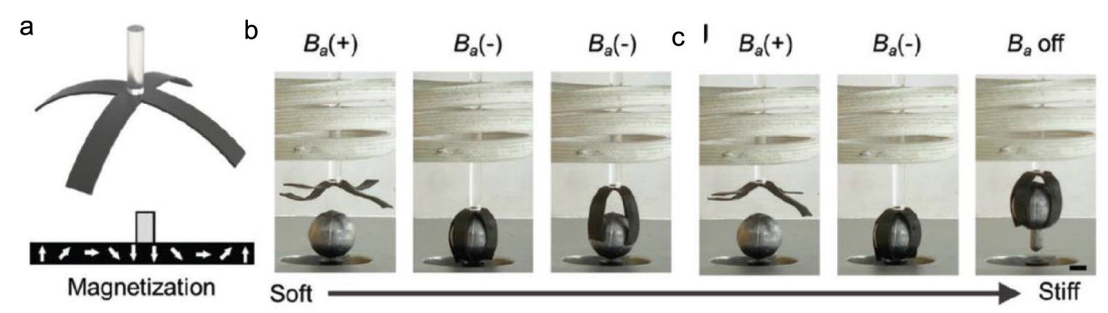 Magnetic shape memory polymers: a state-of-the-art review - IOPscience