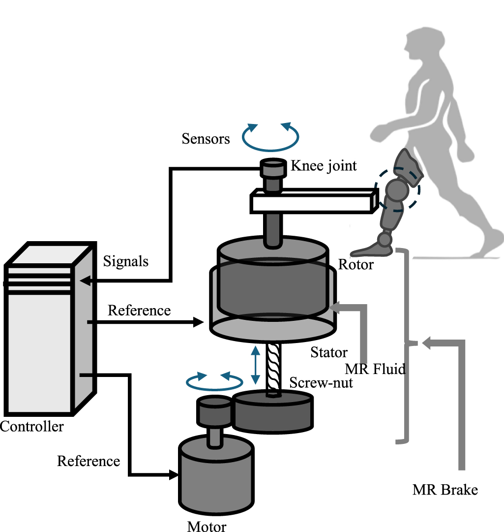 Design and testing of magnetorheological brake with adjustable ...