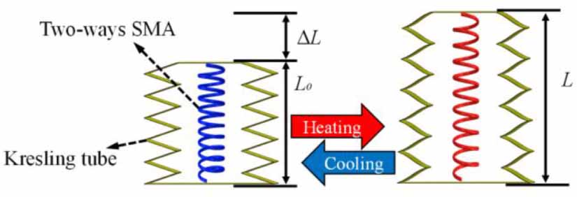Optimization design and analysis of the active morphing Kresling core ...
