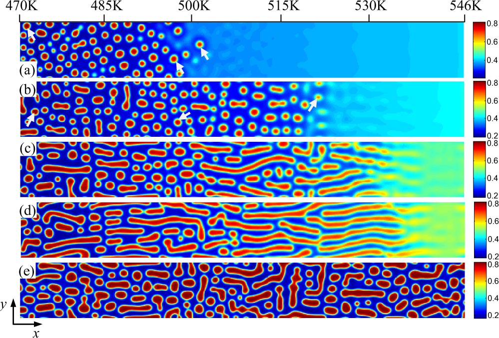 Effects of temperature gradient and elastic strain on spinodal ...