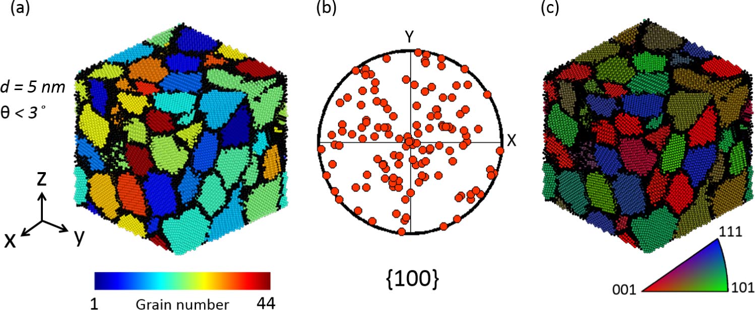 Quantitative tracking of grain structure evolution in a nanocrystalline ...
