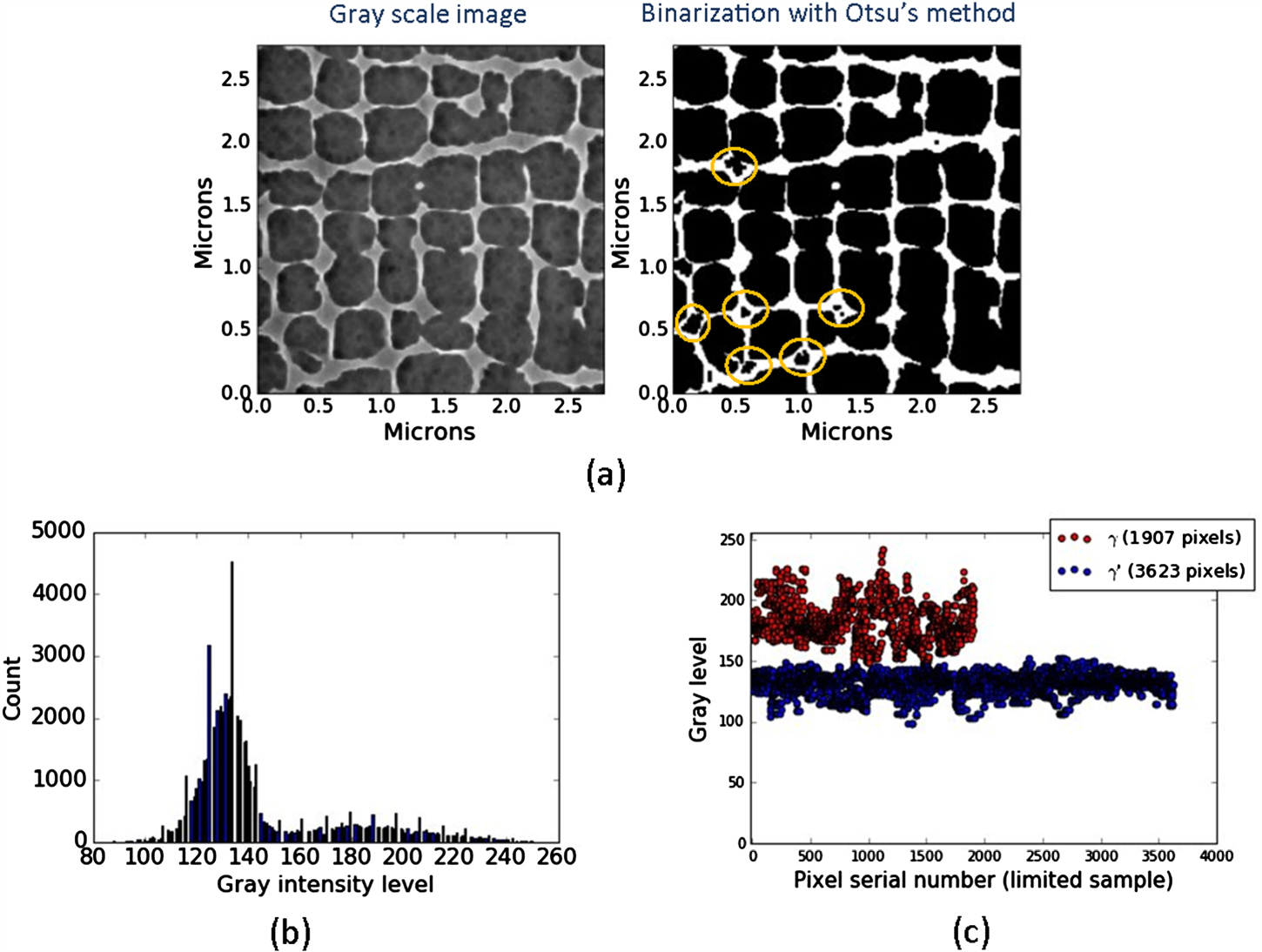 Automated image analysis for quantification of materials microstructure evolution - IOPscience