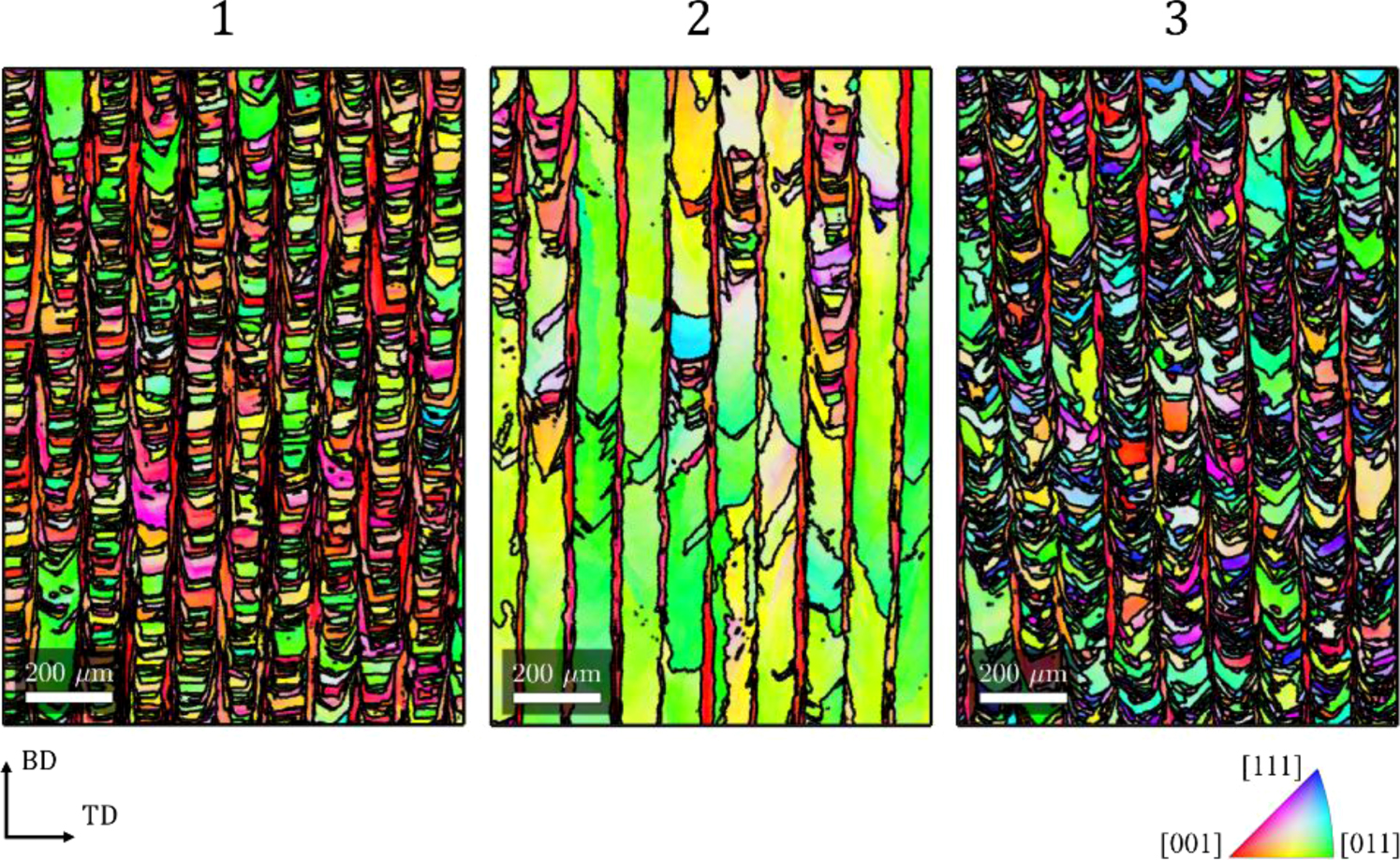 Computer simulation of microstructure development in powder-bed ...
