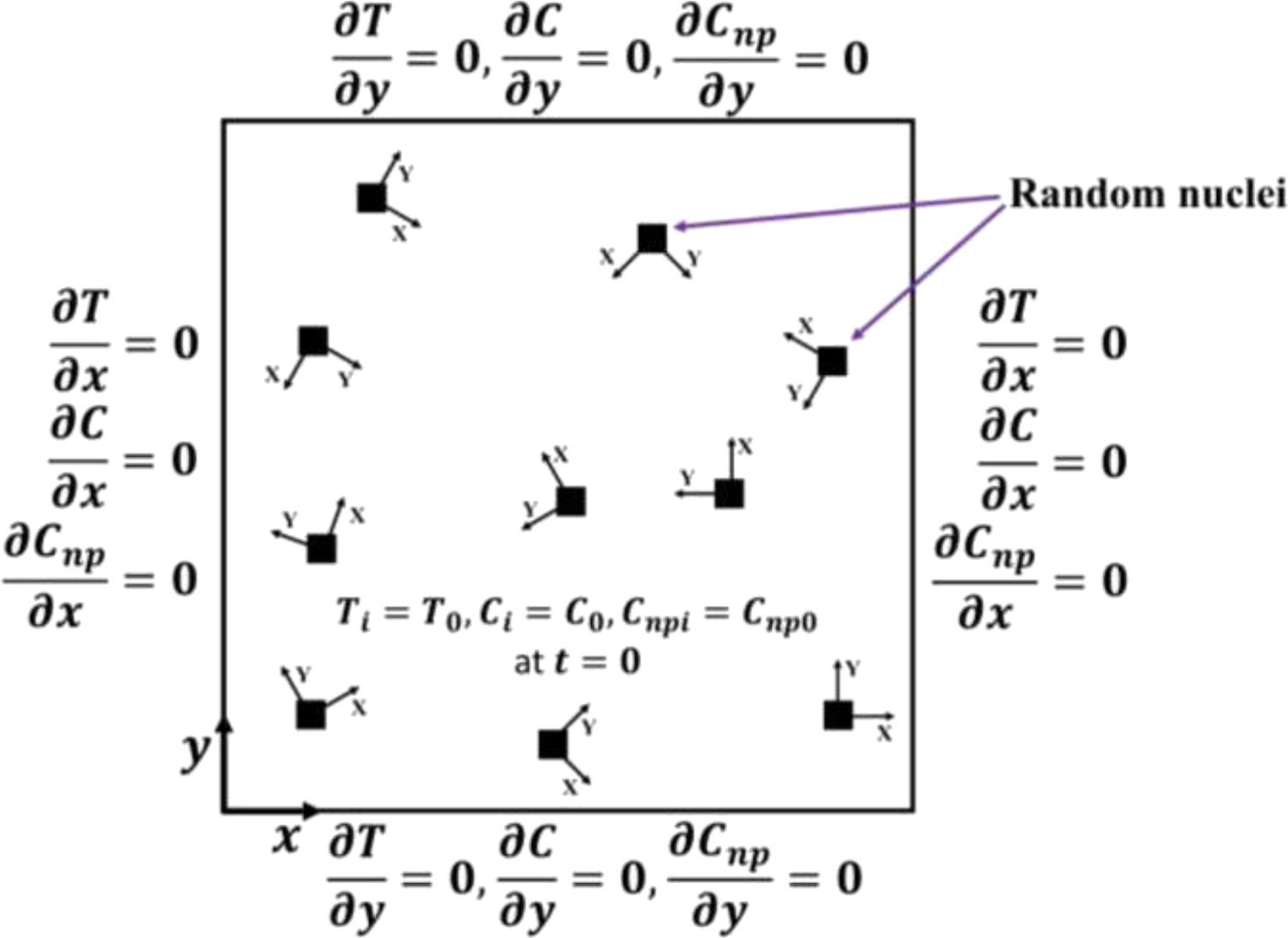 A 2D model for prediction of nanoparticle distribution and ...