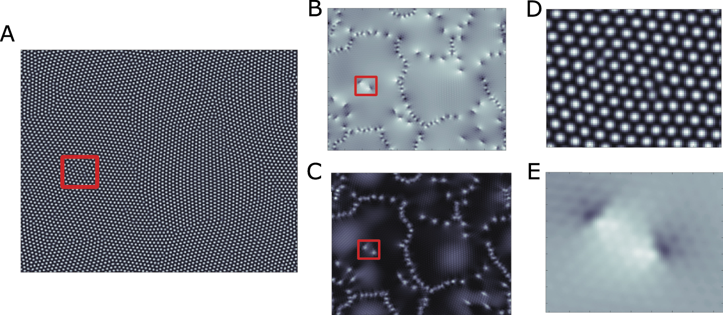 Time-scale investigation with the modified phase field crystal method ...