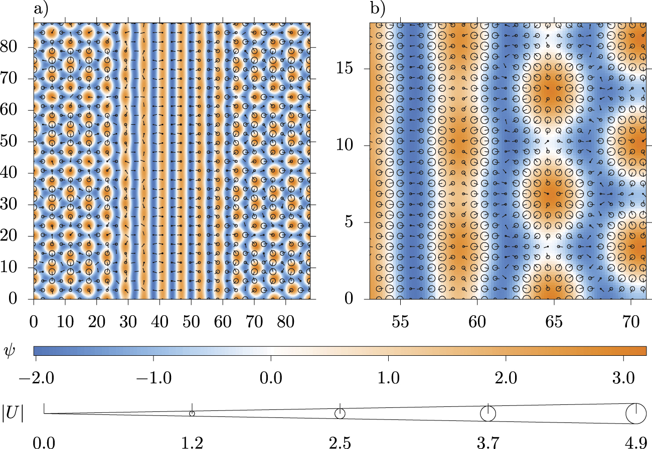 Phase field crystal model for particles with n-fold rotational symmetry ...