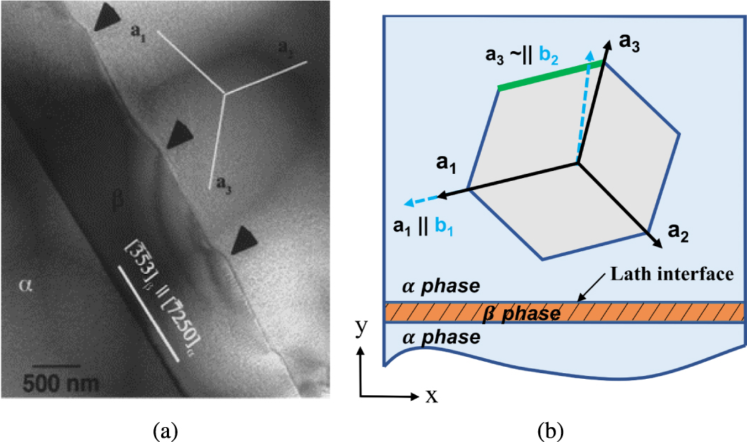 Crystal plasticity based homogenized model for lamellar colonies of near-α and titanium alloys ...