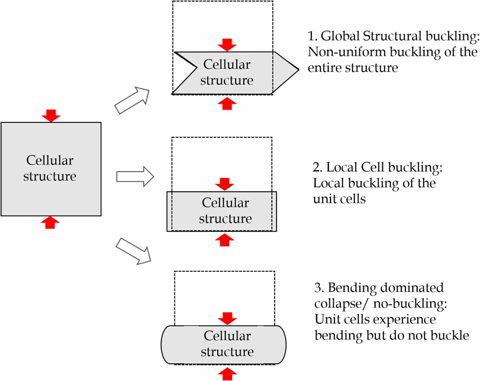 The role of unit cell topology in modulating the compaction response of ...