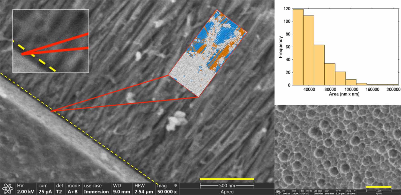 Polycrystalline silicon, a molecular dynamics study: I. Deposition and ...