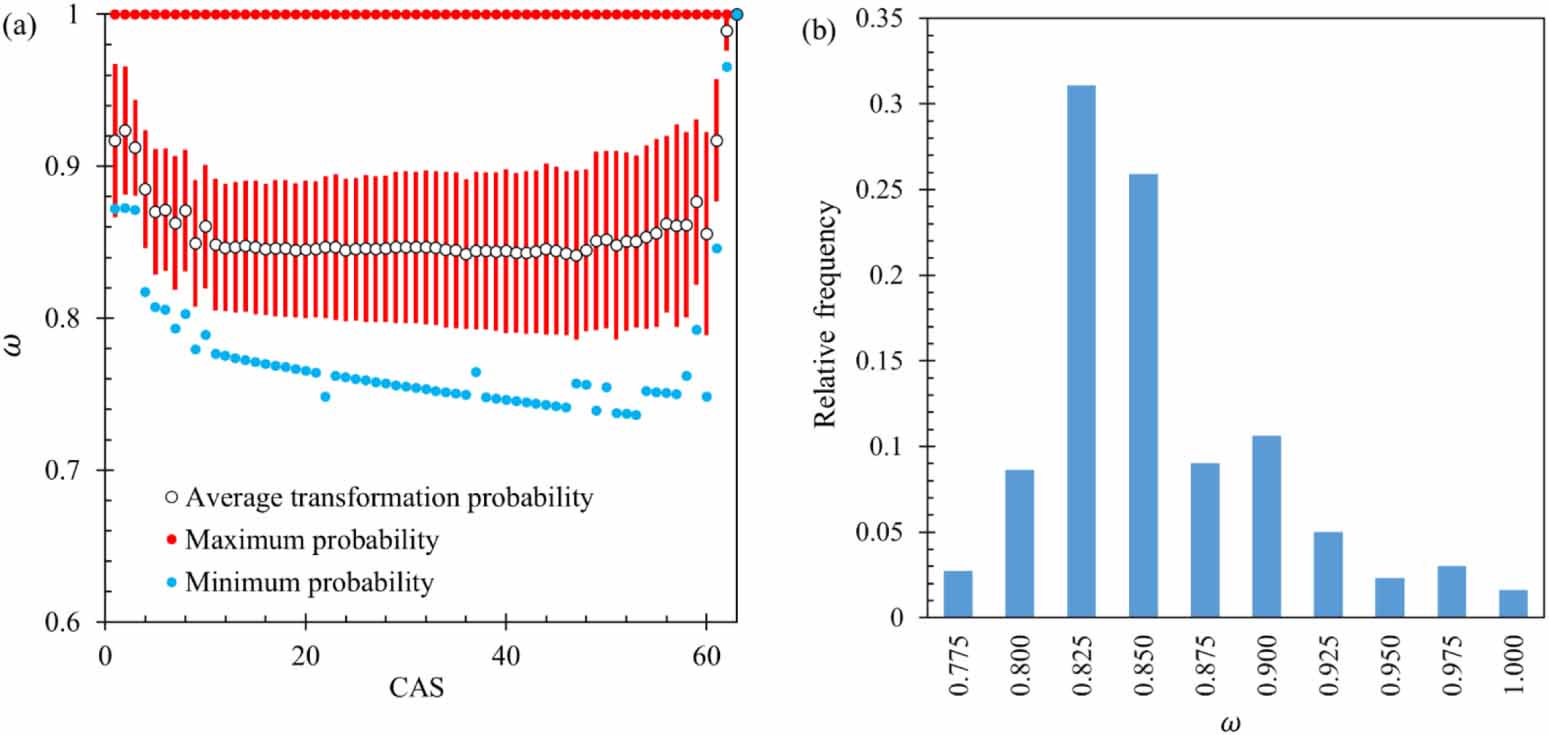 Probabilistic cellular automata simulation of microstructure evolution: the role of model ...