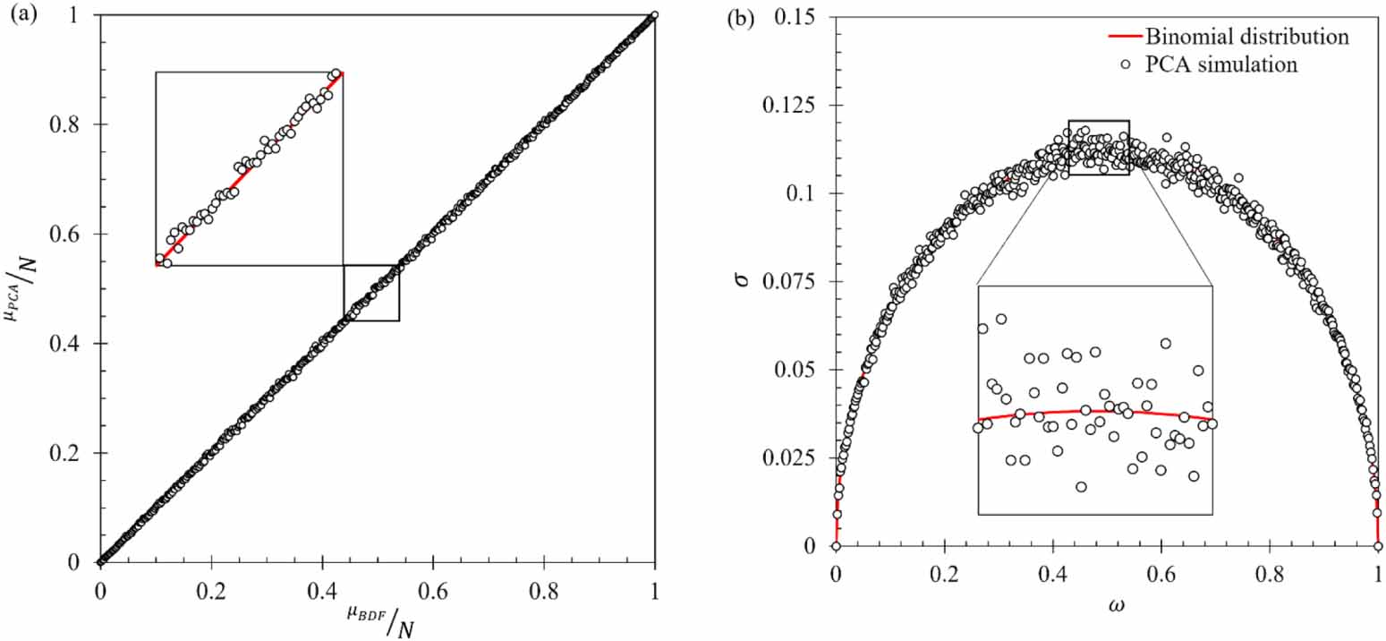 Probabilistic cellular automata simulation of microstructure evolution: the role of model ...
