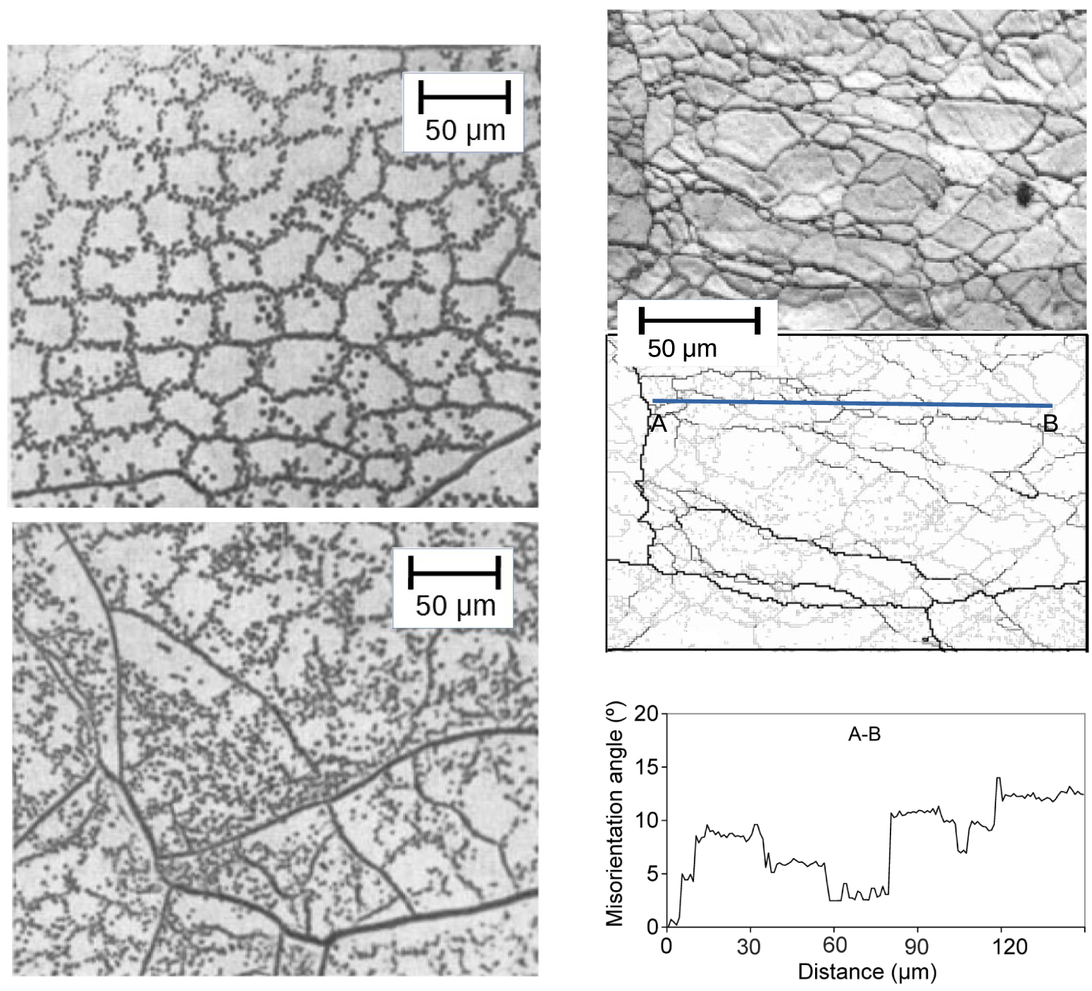 Continuum dislocation dynamics as a phase field theory with conserved order parameters ...