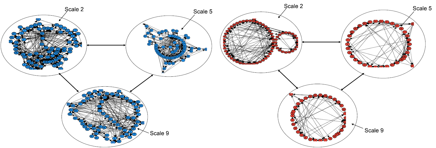 Multiscale network representation of physiological time series for ...