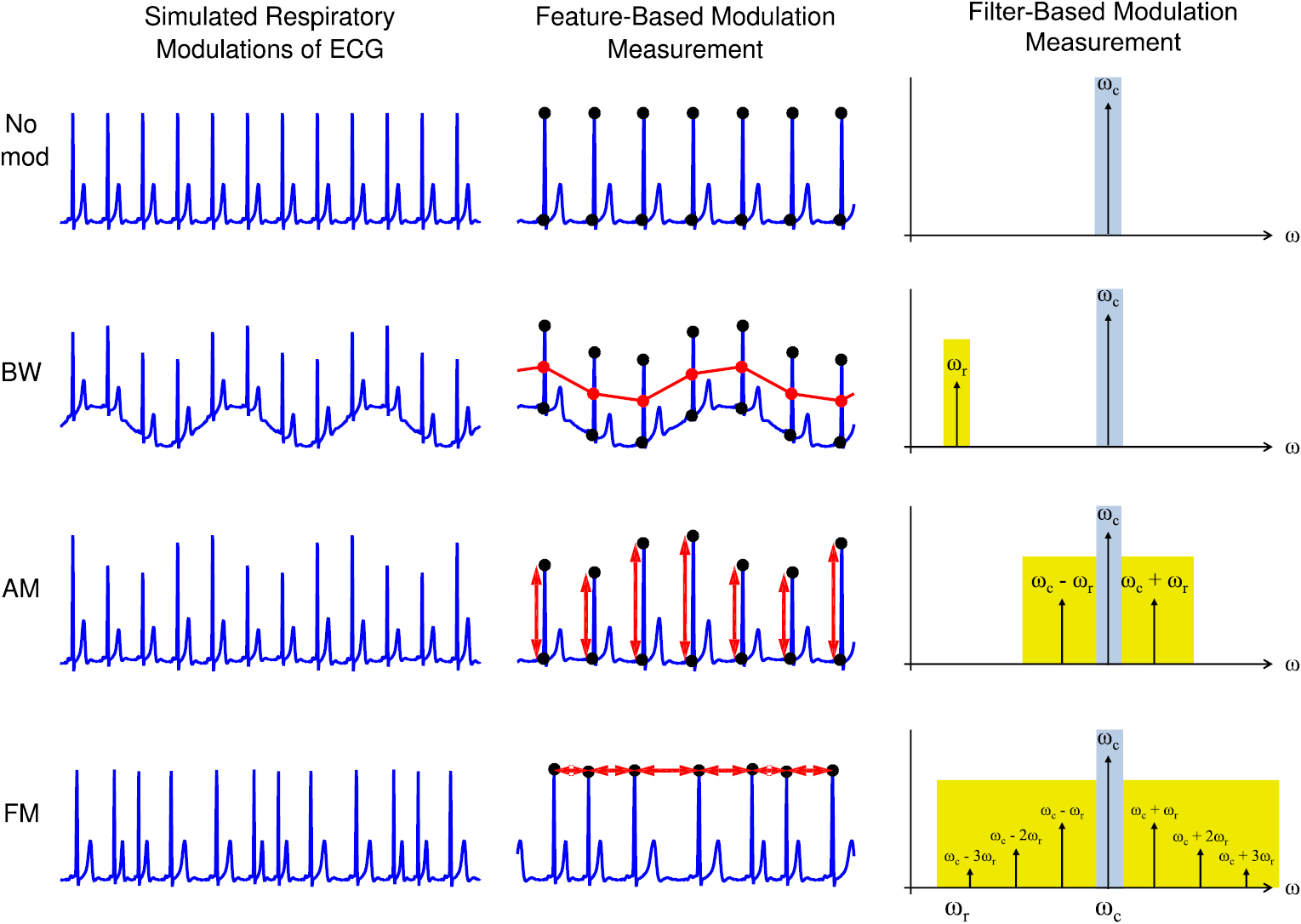 Extraction of respiratory signals from the electrocardiogram and ...