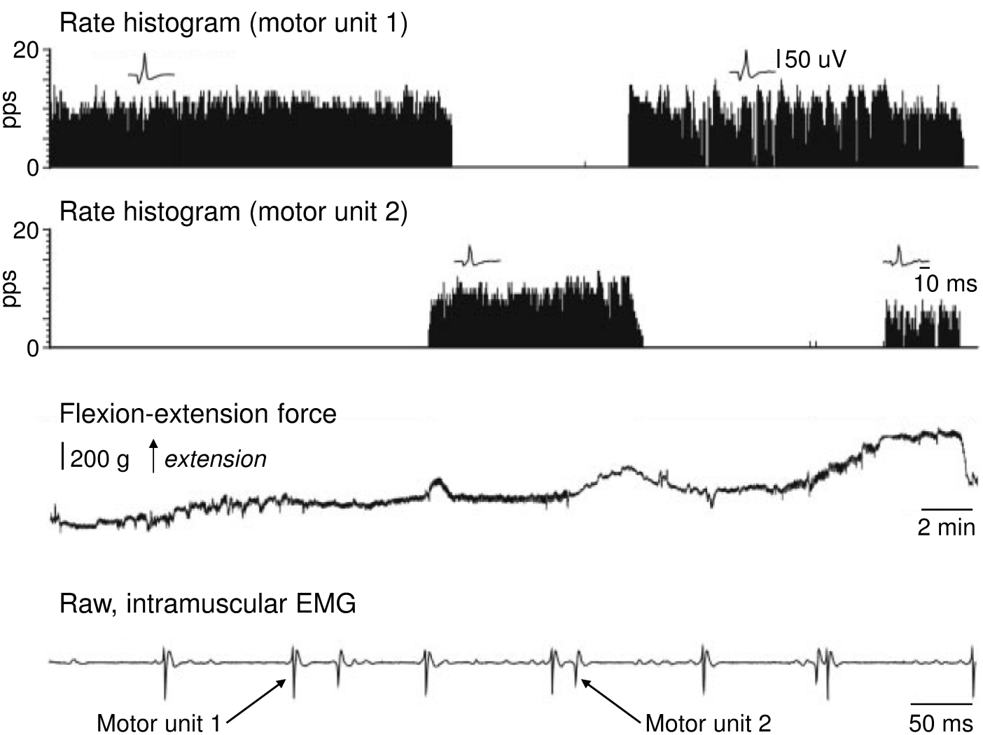 Surface EMG and muscle fatigue: multi-channel approaches to the study ...