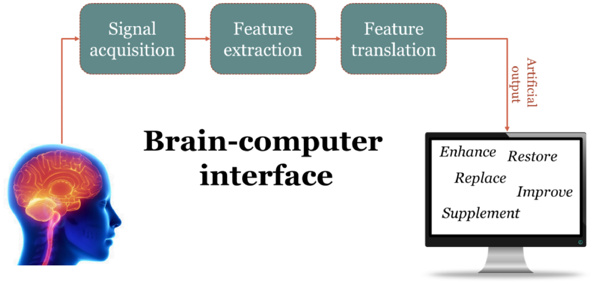 Passive BCI beyond the lab: current trends and future directions ...