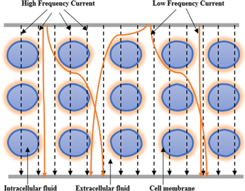 Bioimpedance analysis as a tool for hemodynamic monitoring: overview ...