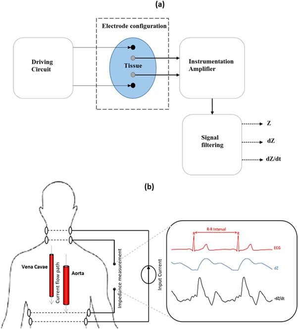 Bioimpedance analysis as a tool for hemodynamic monitoring: overview ...