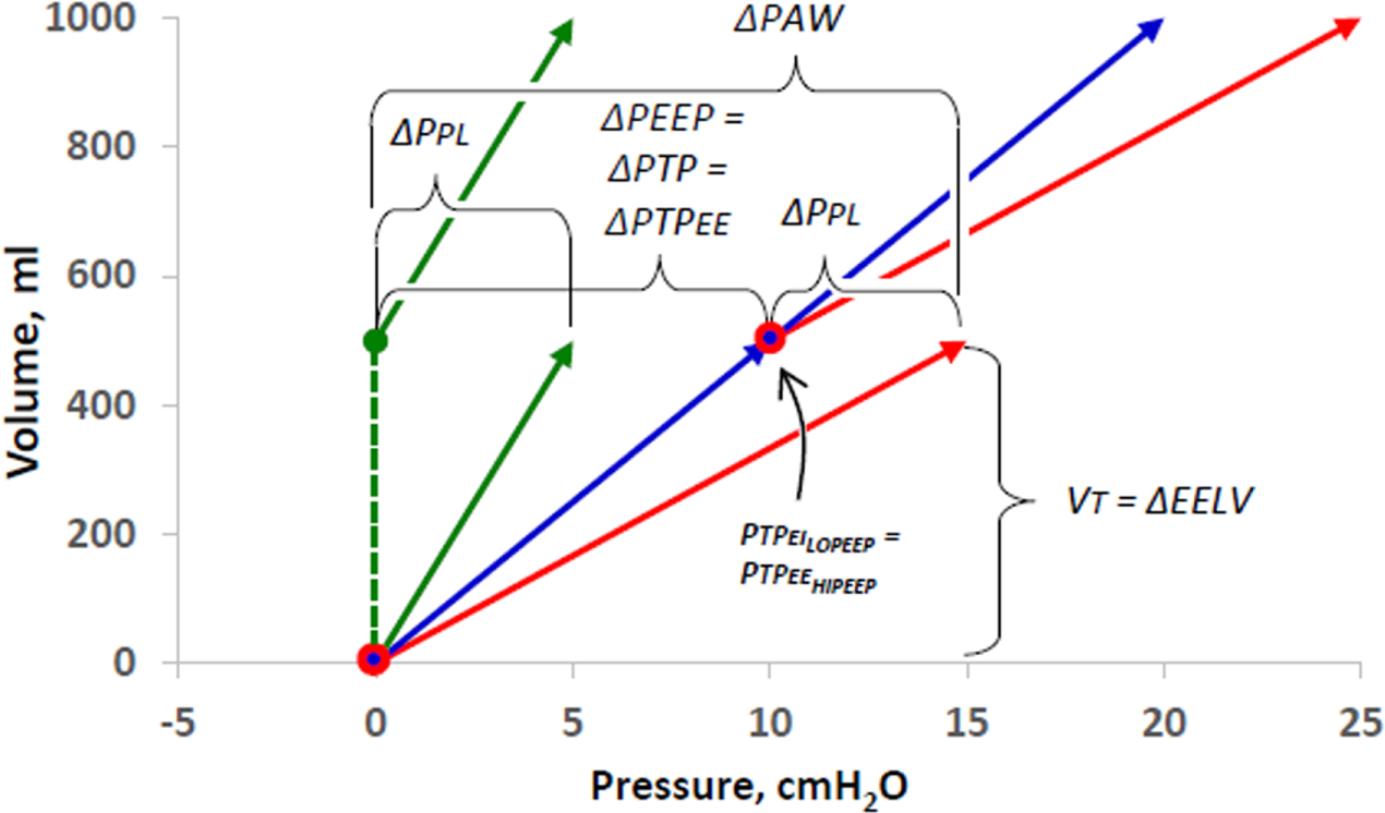 Gas distribution by EIT during PEEP inflation: PEEP response and ...