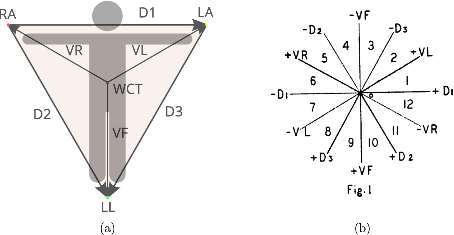 Completing the Cabrera Circle: deriving adaptable leads from ECG limb ...