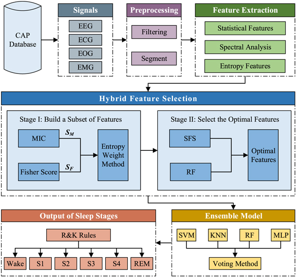 An effective hybrid feature selection using entropy weight method for automatic sleep staging ...
