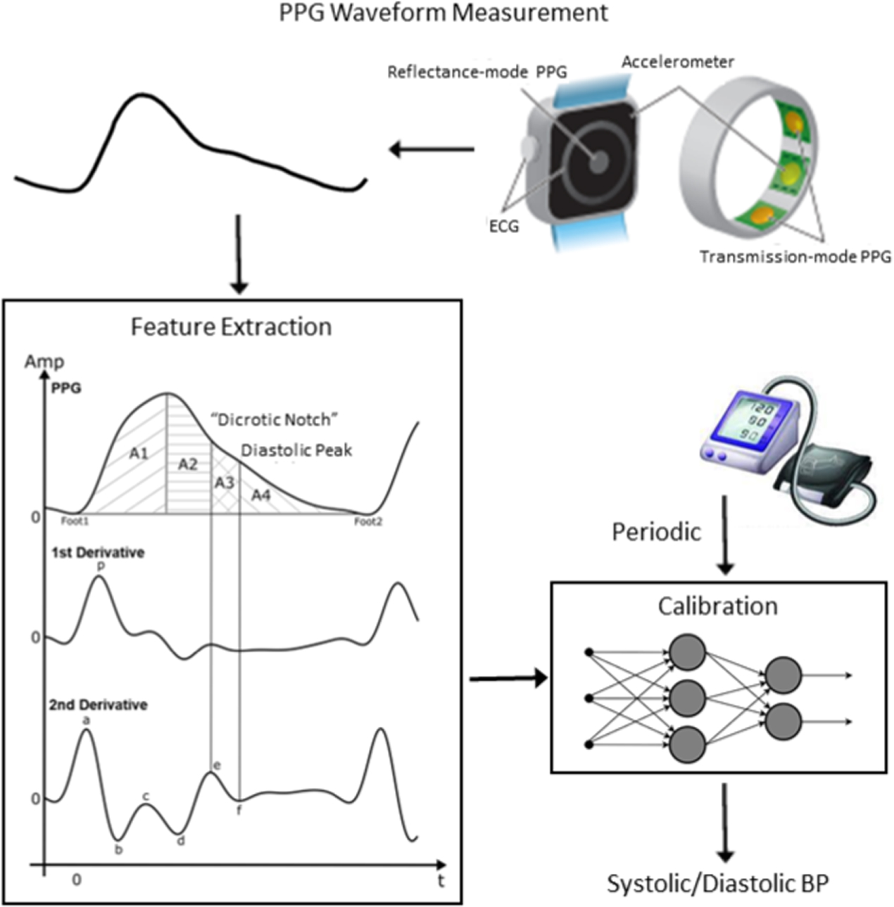The 2023 wearable photoplethysmography roadmap - IOPscience