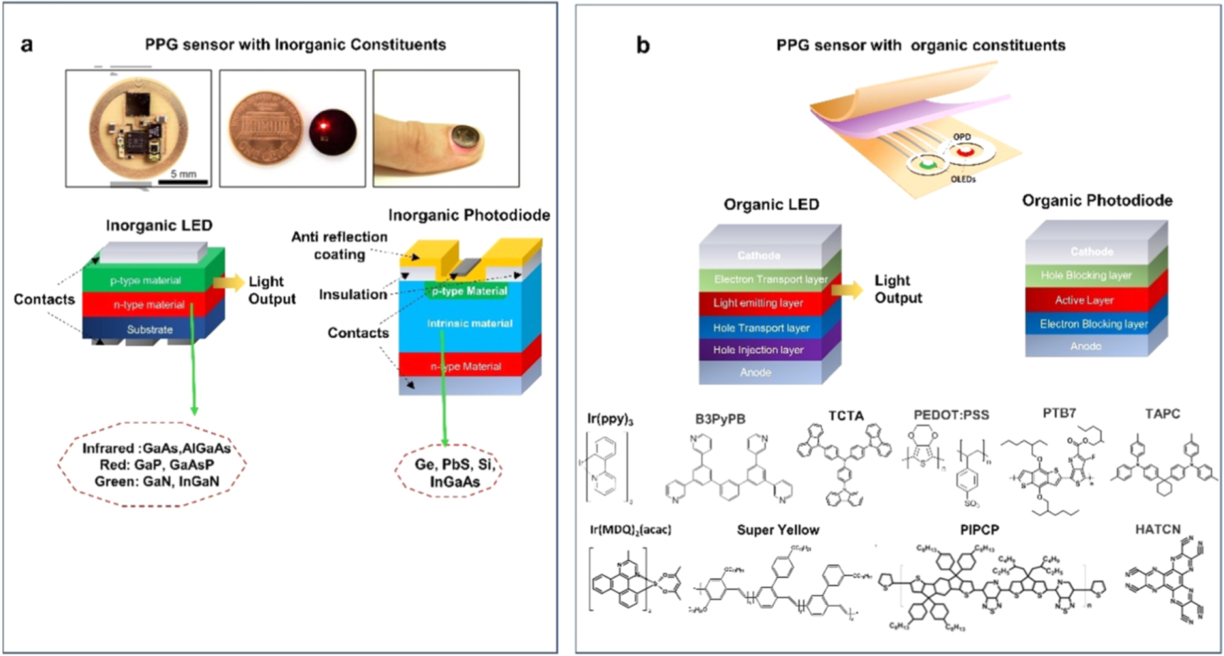 The 2023 wearable photoplethysmography roadmap - IOPscience