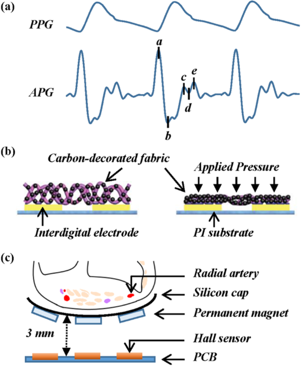 The 2023 wearable photoplethysmography roadmap - IOPscience