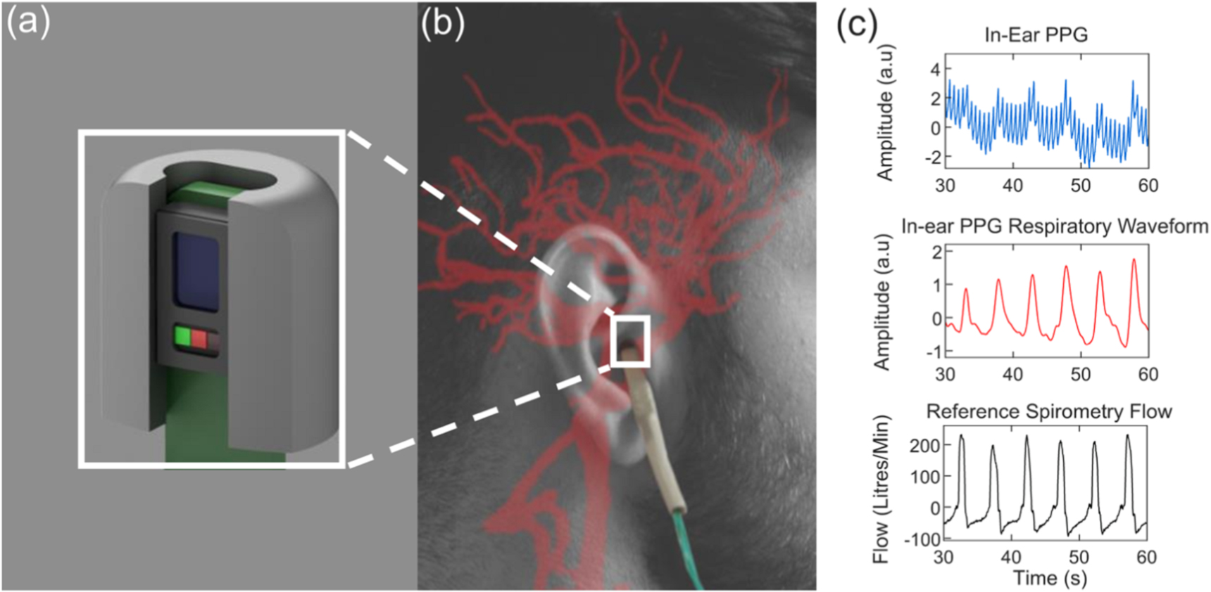 The 2023 wearable photoplethysmography roadmap - IOPscience