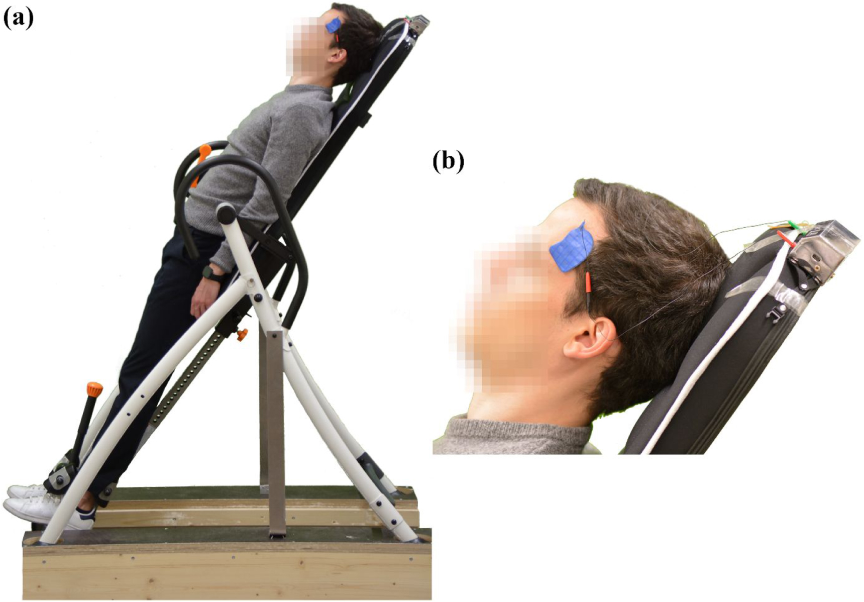 The effect of body position change on noninvasively acquired ...
