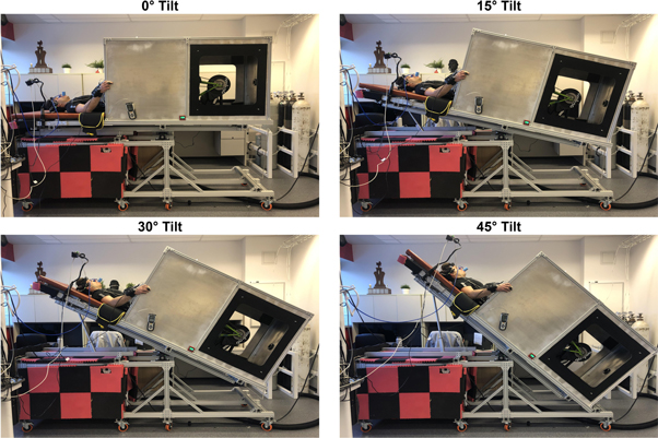 Cerebral blood velocity during concurrent supine cycling, lower body ...