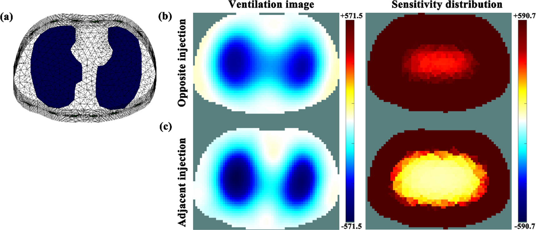 Evaluation of adjacent and opposite current injection patterns for a ...
